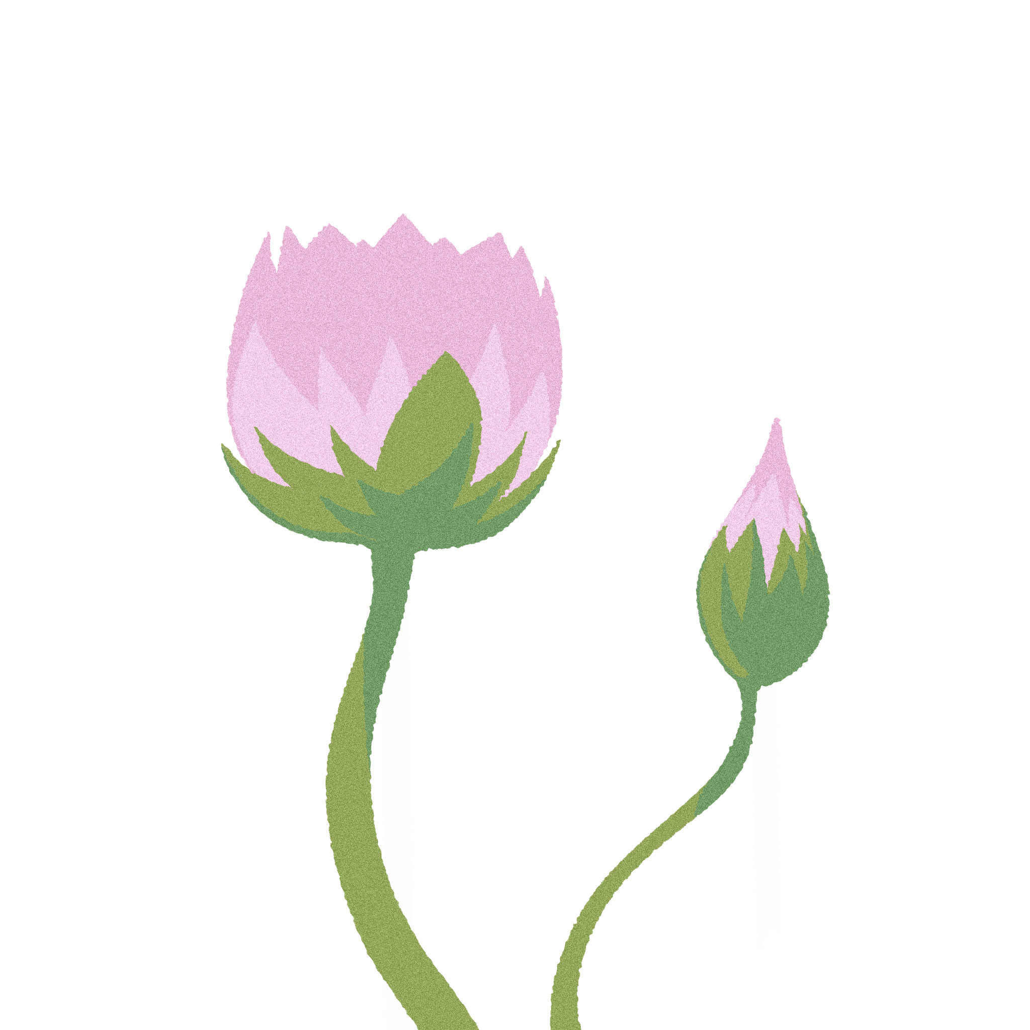 Avis de décès Marie Rose ROCCHI - Corse-du-Sud (2A) - Dans Nos Coeurs