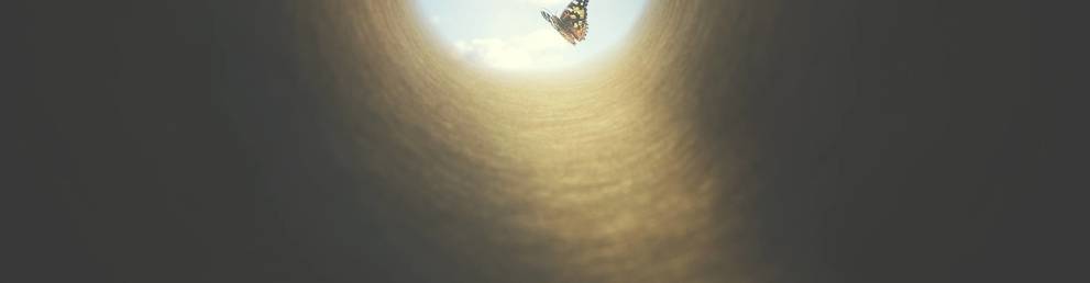 Résurrection et réincarnation : quelles différences