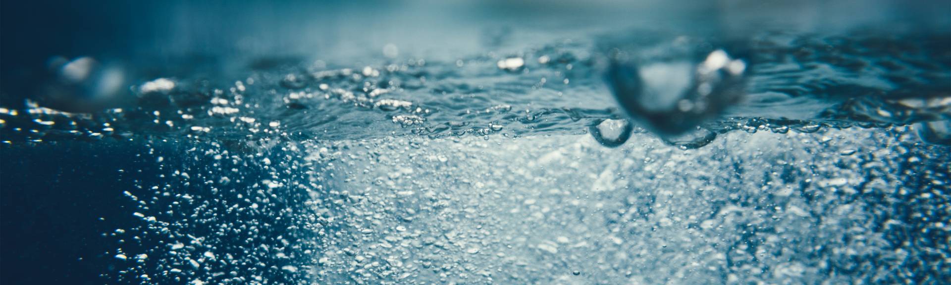 L’aquamation, une “crémation” par l’eau ? Explications