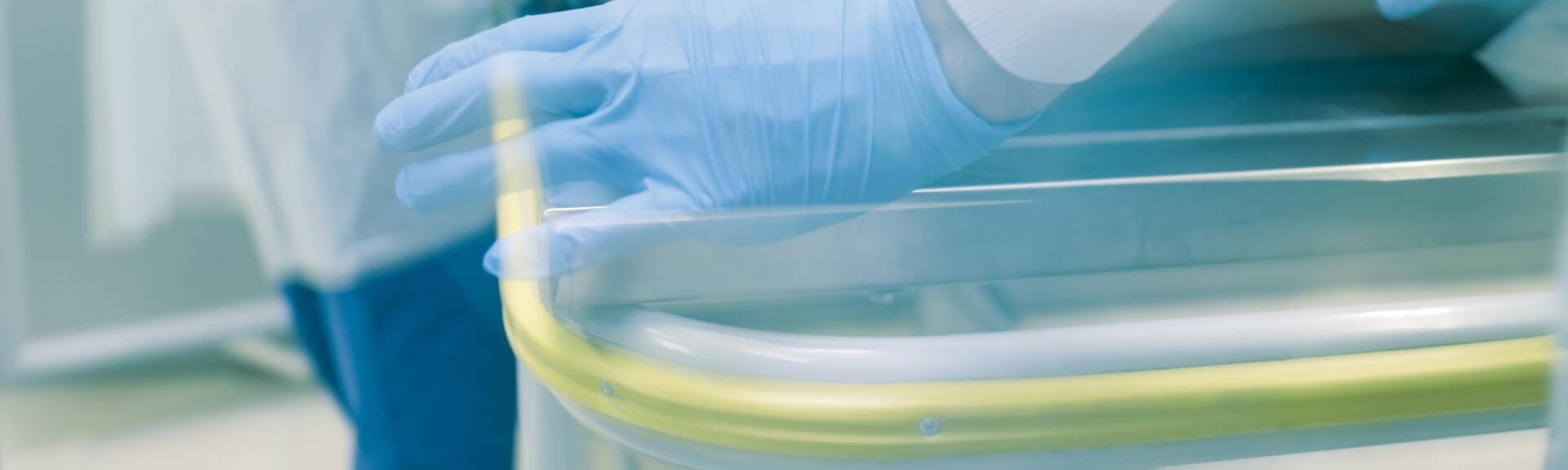 Travailler dans une morgue : quels métiers et quelles formations