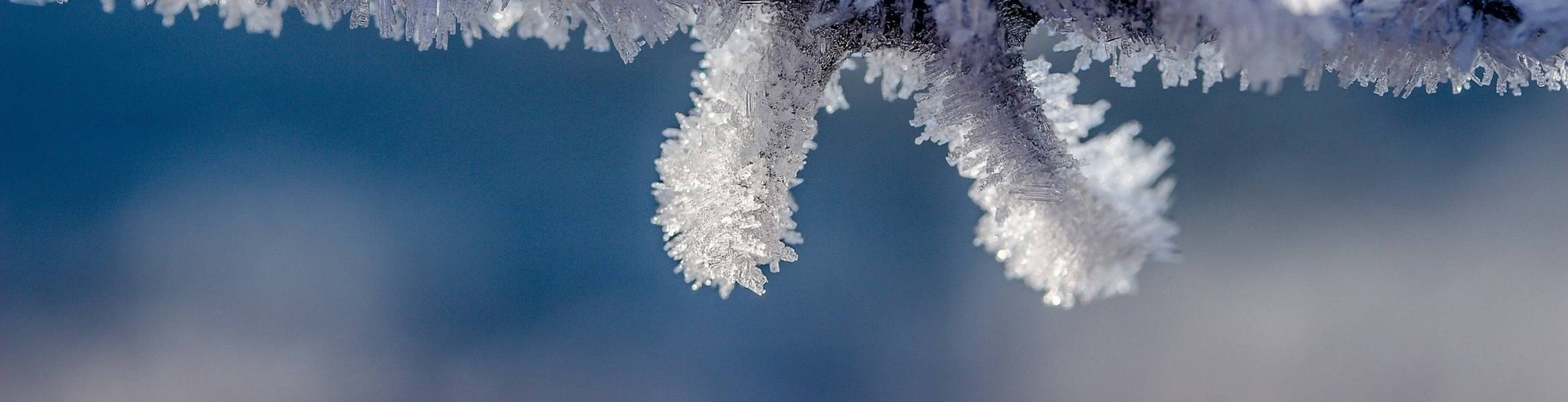 "Realive" de Mateo Gil, le film qui ose la cryogénisation