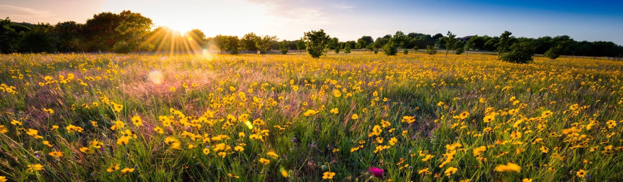 Qu'est-ce qu'une ferme des corps ou une body farms